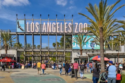 Affiliations | Los Angeles Zoo and Botanical Gardens (LA Zoo)